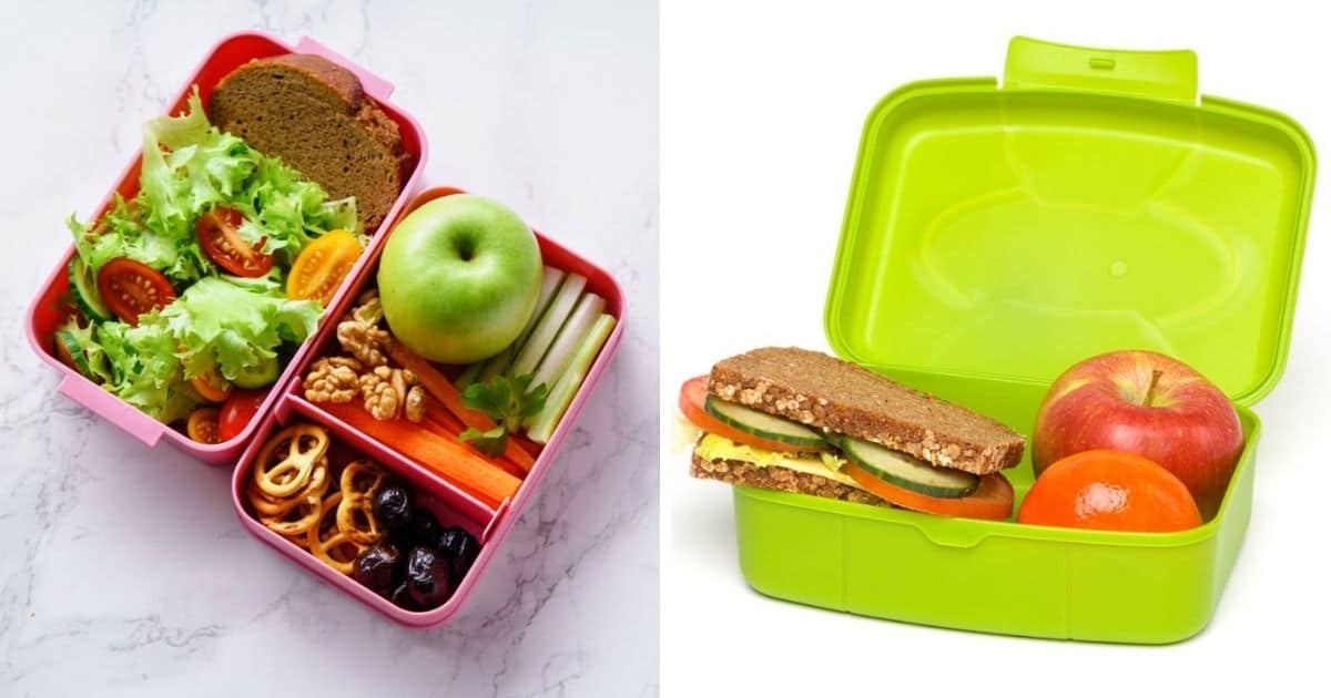 Best Microwavable Bento Lunch Boxes For 2021